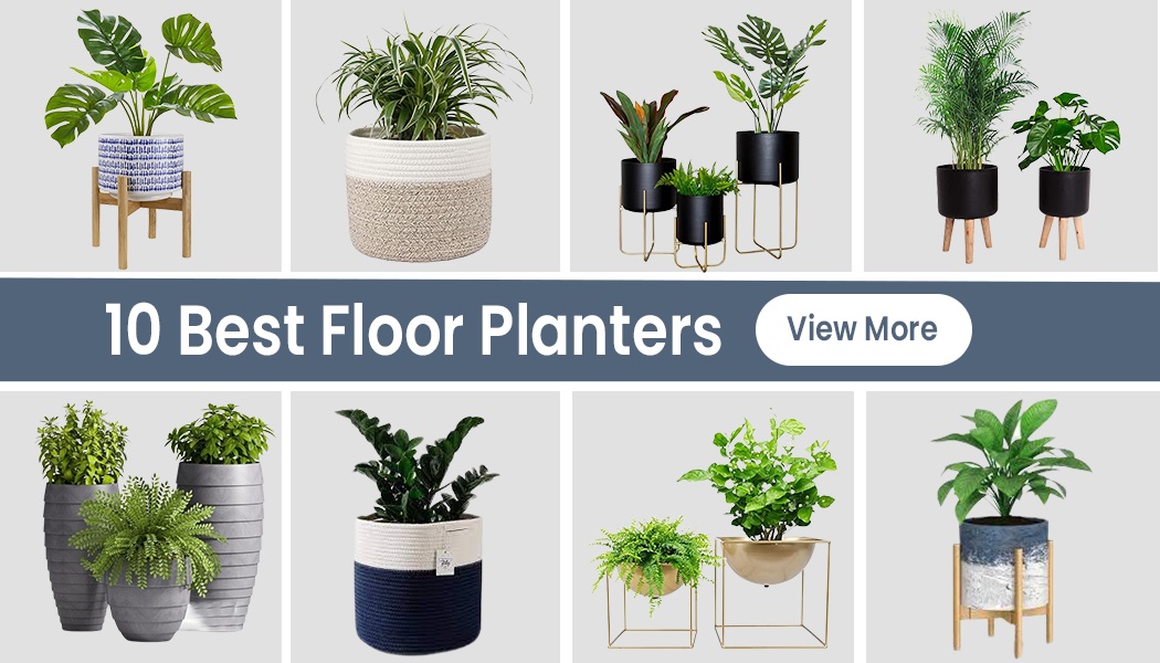 10 Pleasing Floor Planters That Meets Your All Interior Design Needs ...
